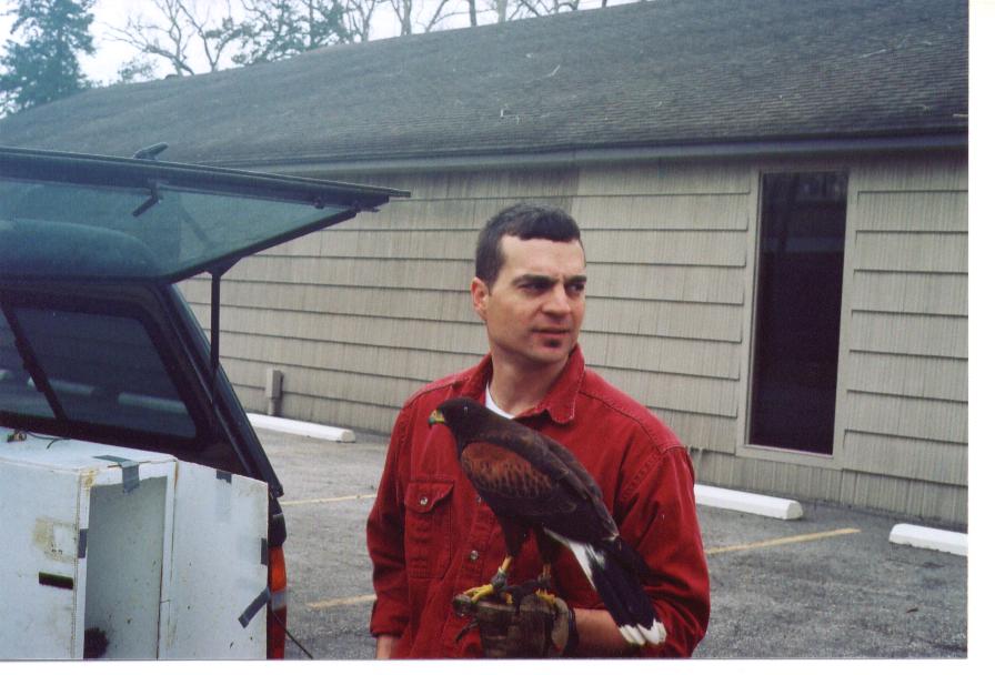 15th Red-tail Season: Matthew Mullenix trains an American Kestrel