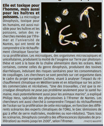 LE CORMORAN. : SCIENCES et TECHNIQUES.