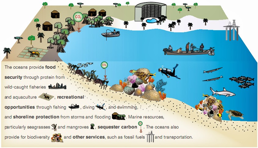 All About... The Integrated Environmental Management!: An Integrated ...