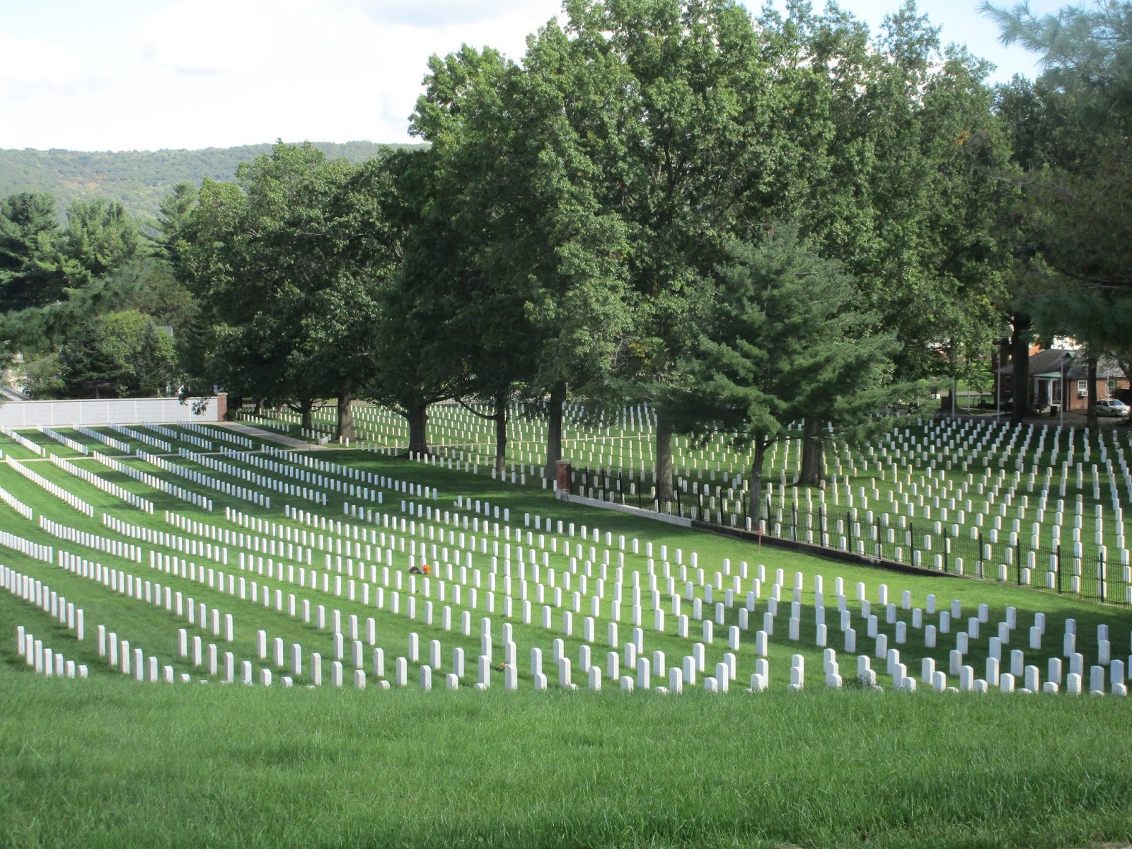 Remling Genealogy: Wordless Wednesday: Woodlawn National Cemetery, Elmira