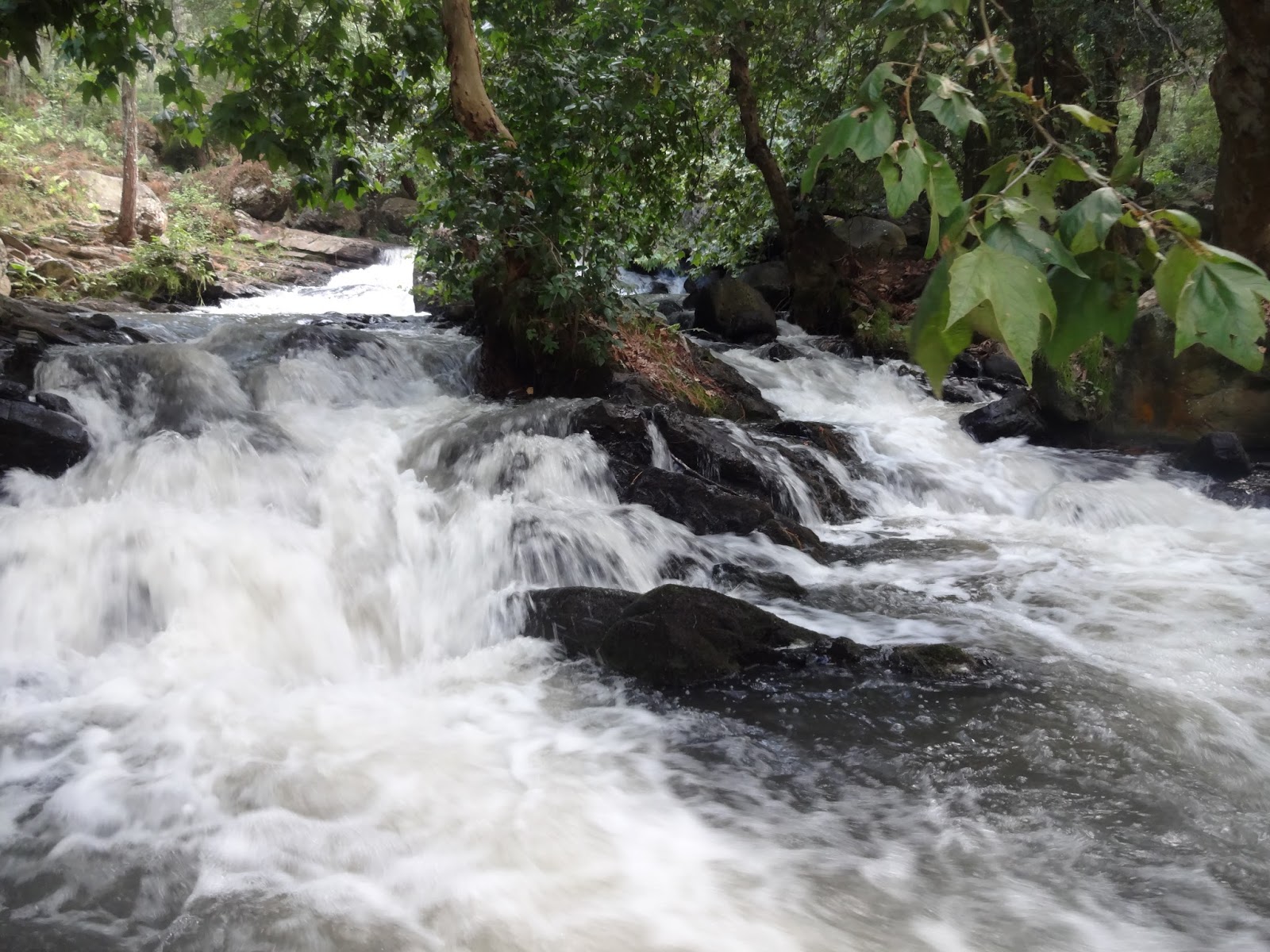 CASCADAS DE QUETZALAPA Y TULIMAN