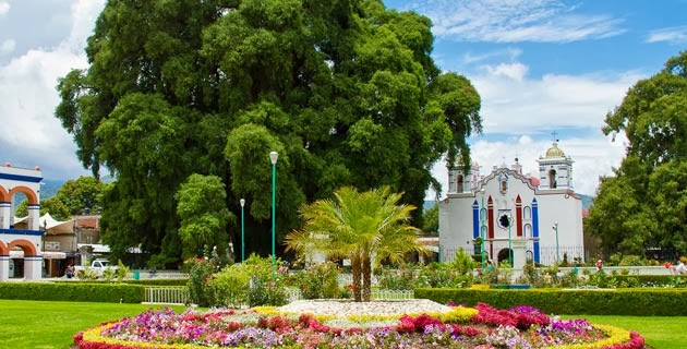 centros turisticos de oaxaca: visita Santa Maria el Tule