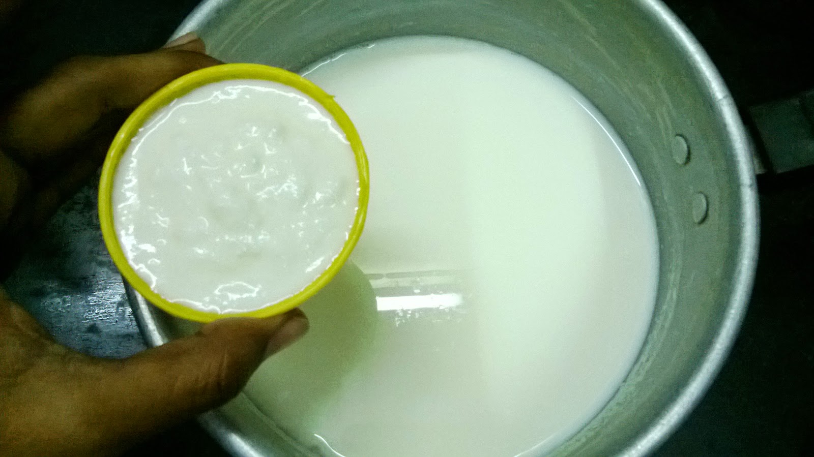 BananaLeaf Recipes: Homemade curd recipe / How to make curd or dahi or ...