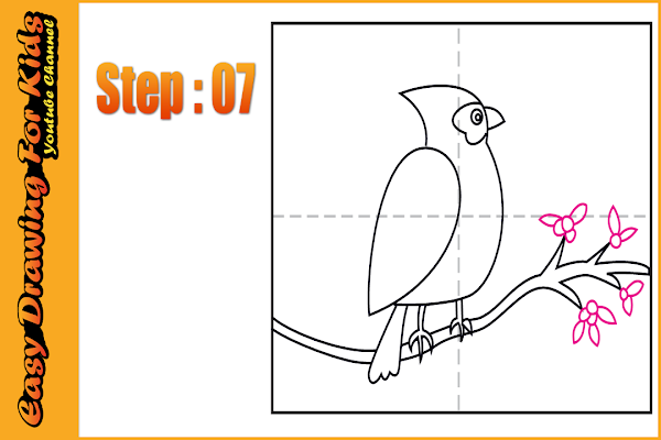 How To Draw a Cardinal Bird Step By Step | Drawing Course for Beginners