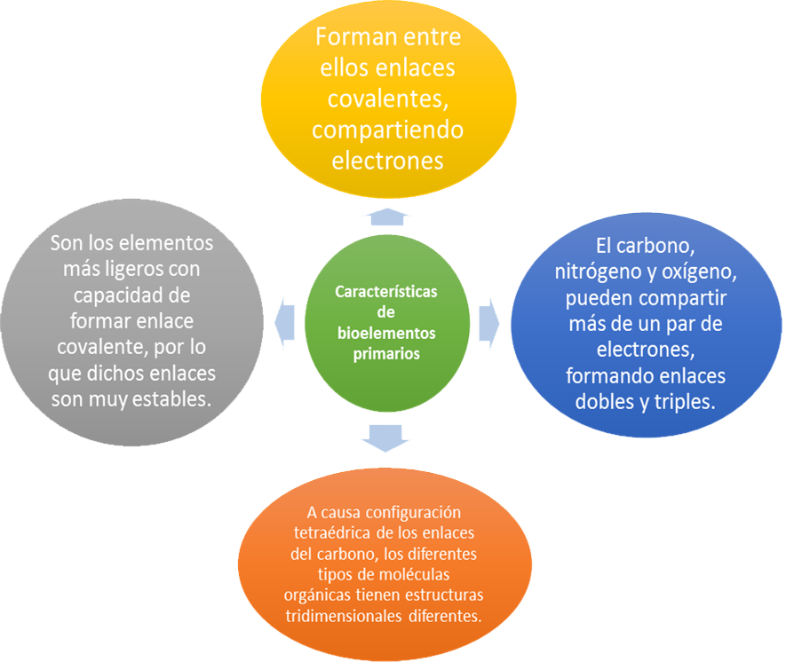 Blog de química. Grupo 5. Aula M-05: Bioelementos primarios y secundarios