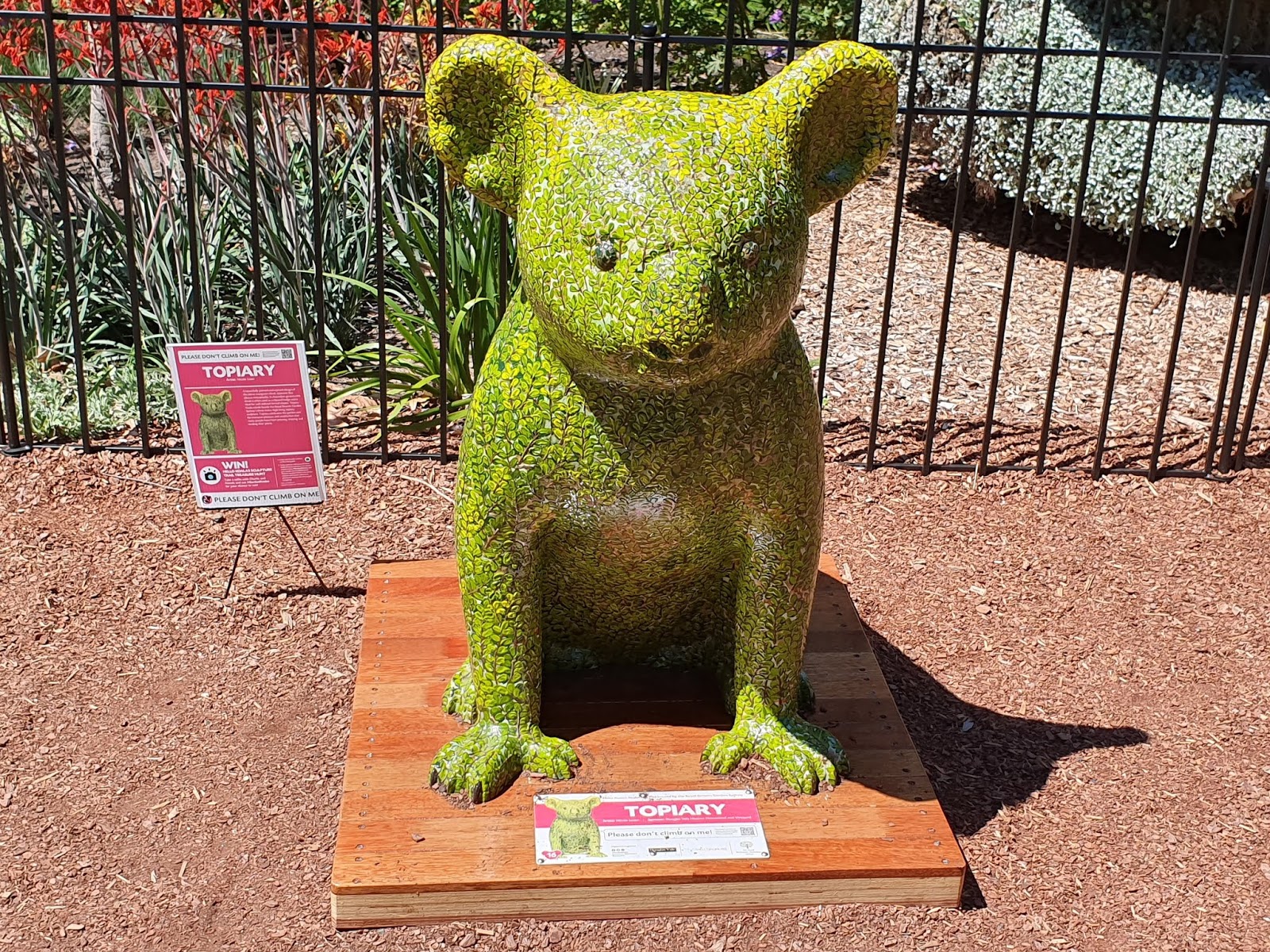 Sydney - City and Suburbs: Royal Botanic Gardens, Hello Koalas ...