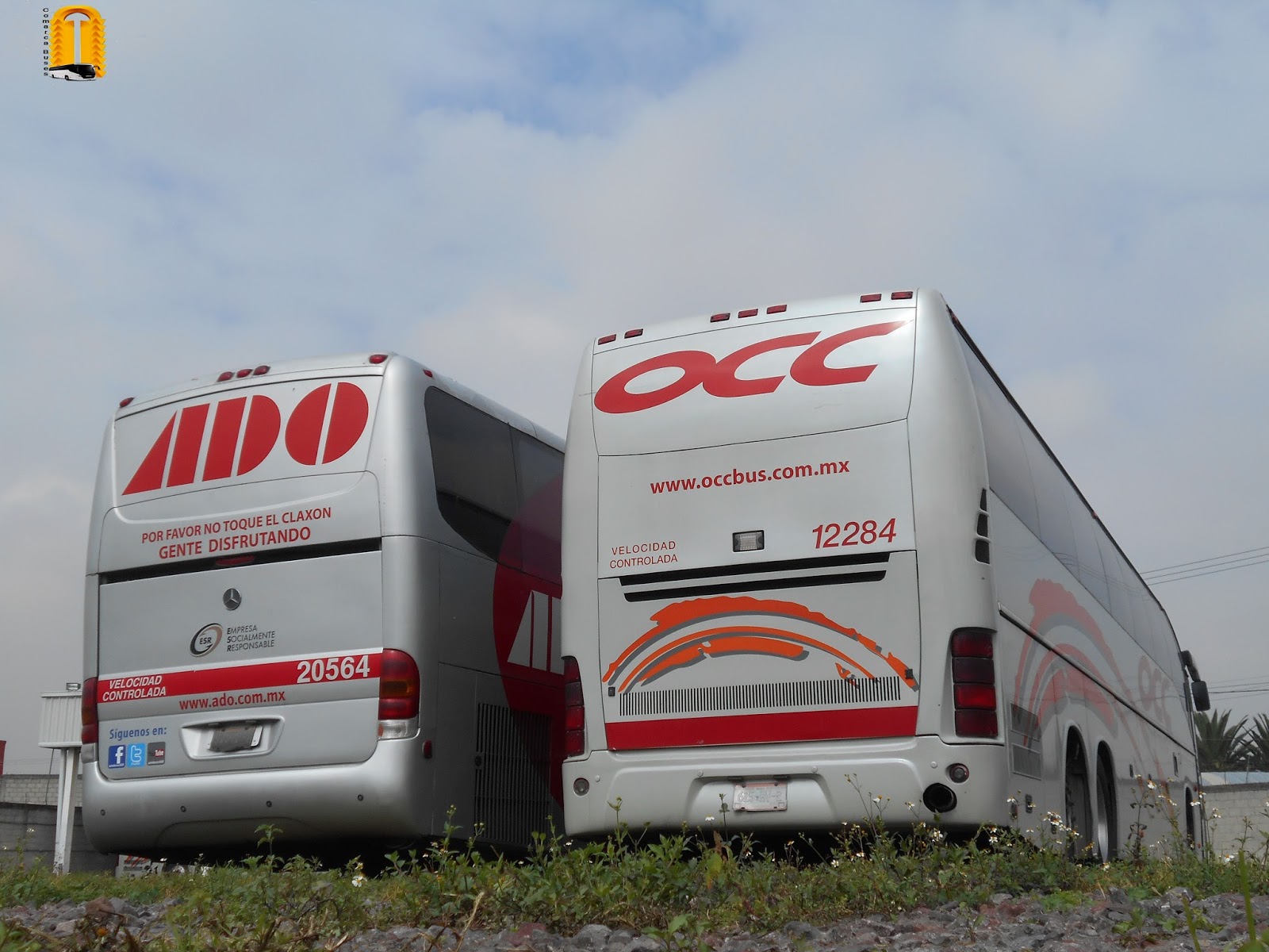 Comarca Buses: ADO / OCC