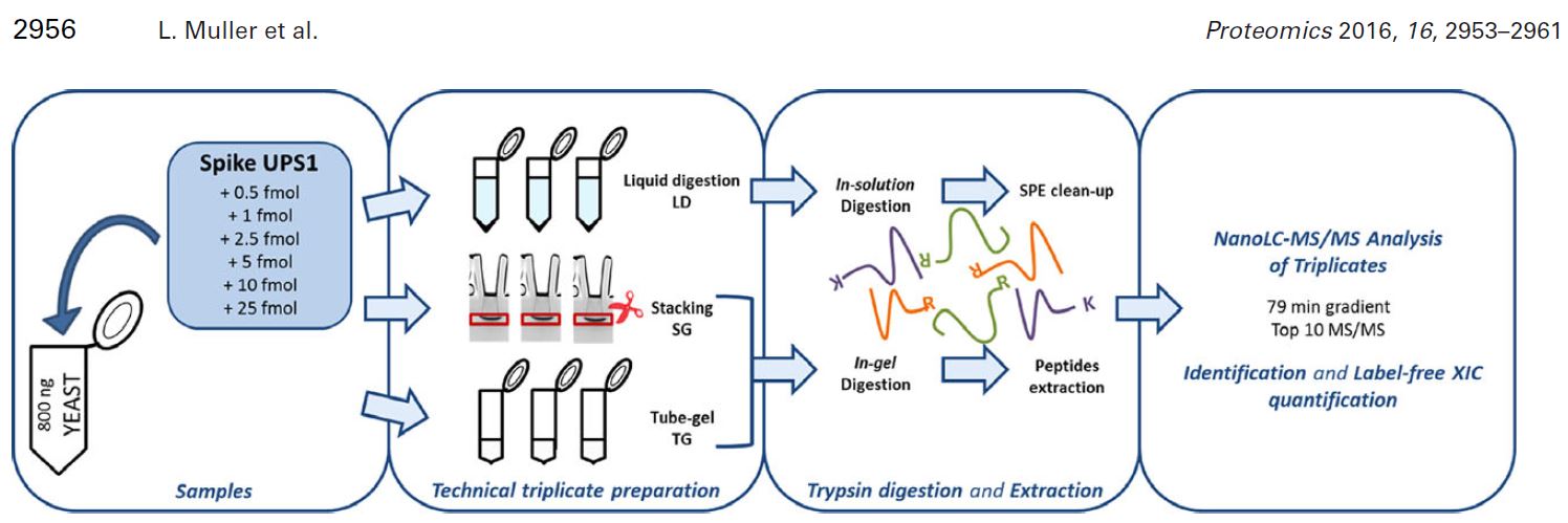 News in Proteomics Research: Tube gel digestion?