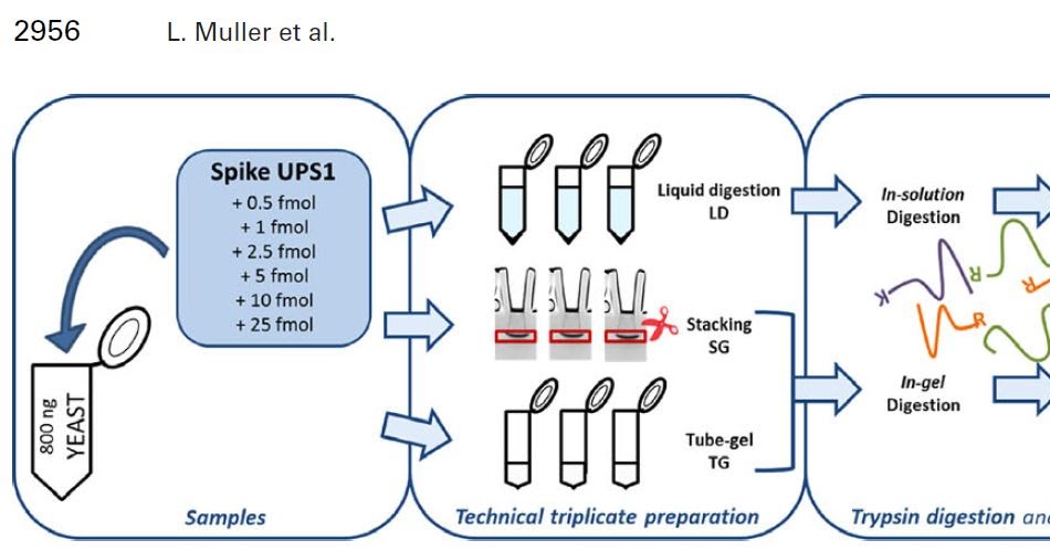News in Proteomics Research: Tube gel digestion?