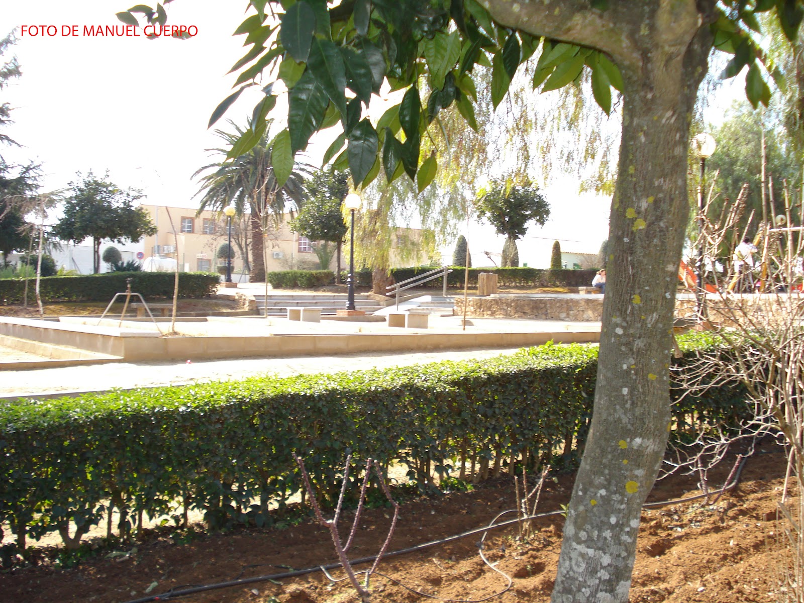 MANUEL CUERPO ROCHA: febrero 2012