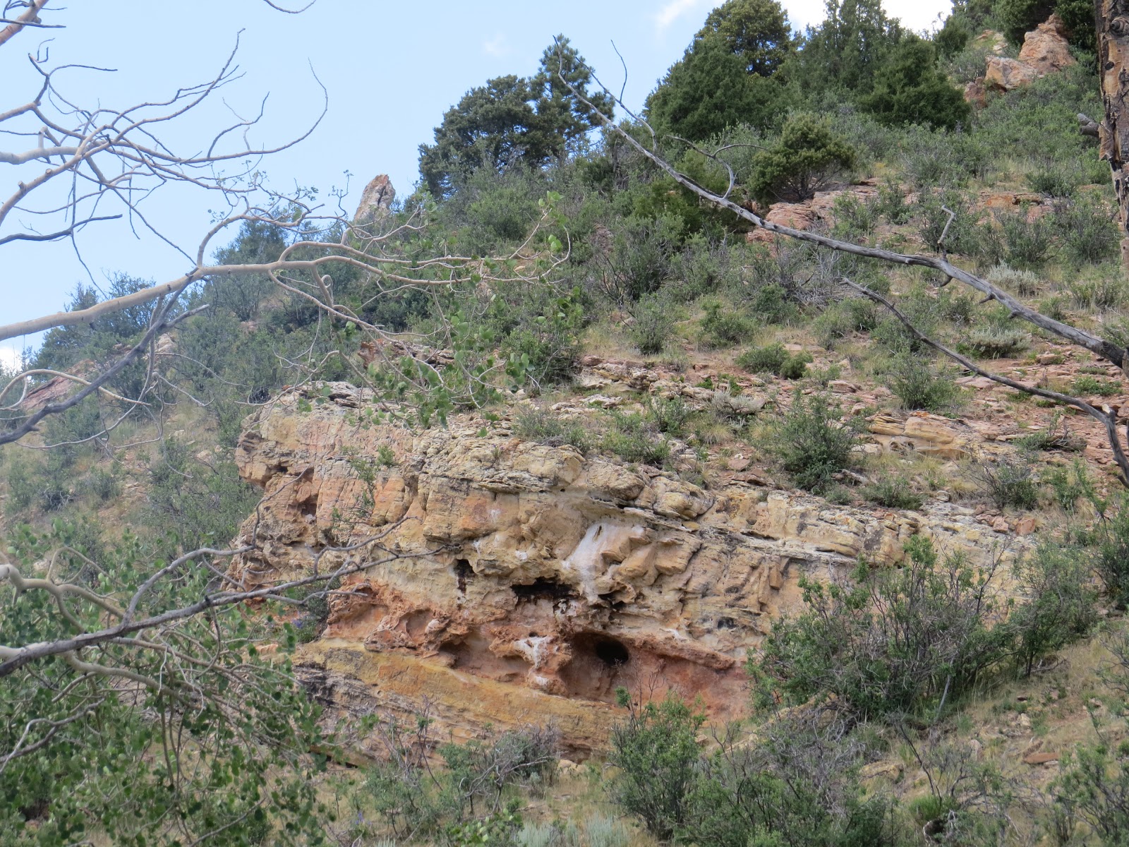RMSO Bigfoot: Mother Bigfoot Carries Baby Sasquatch Into Colorado Cave