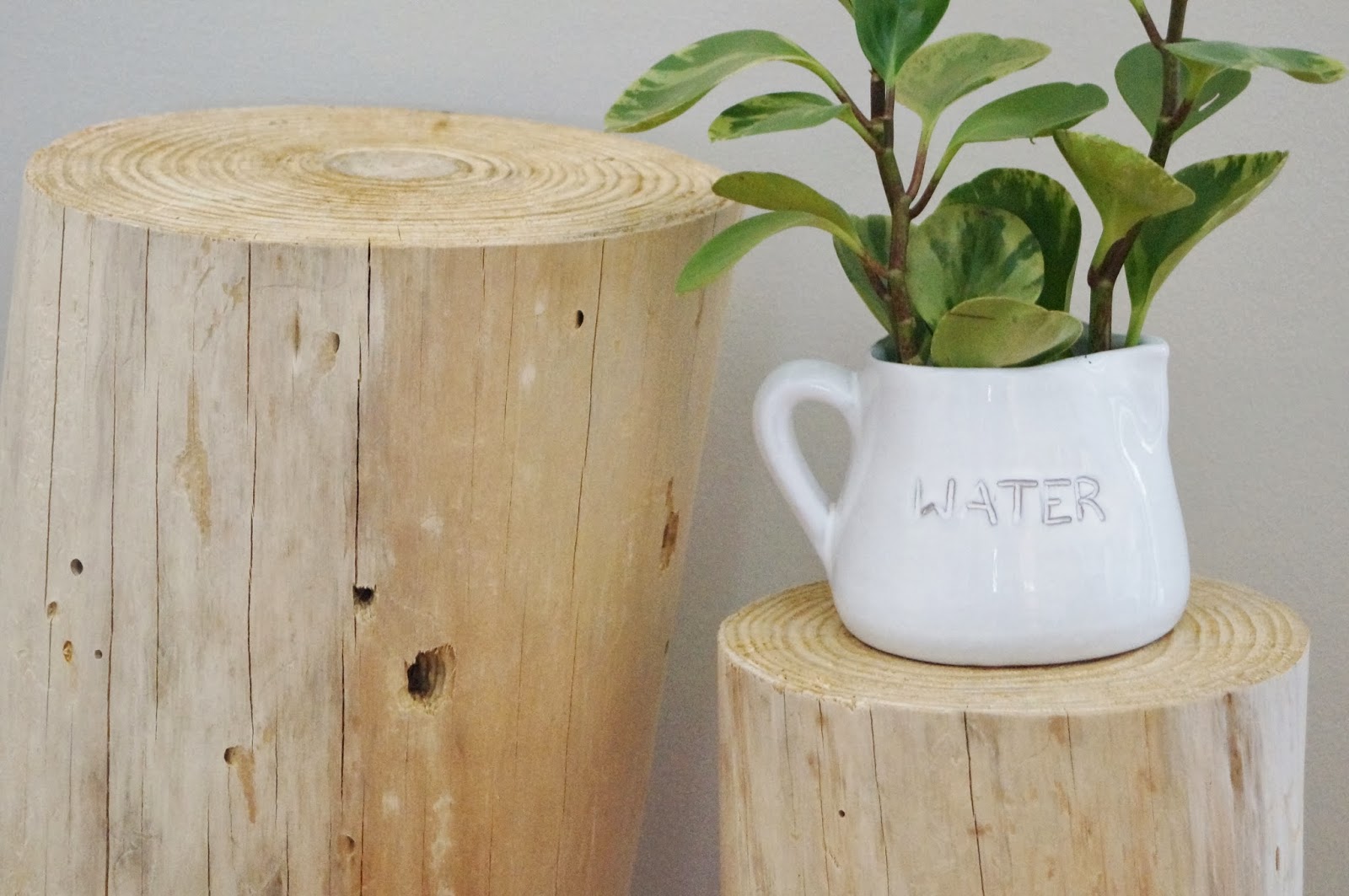 Don't Disturb This Groove: Bleached Tree-Stump Tables