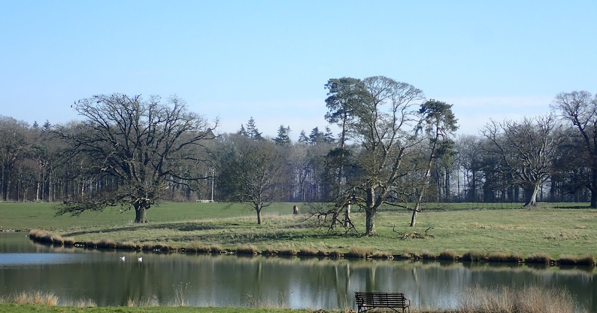 Birds and Beer: SOUTH NORFOLK: Raveningham Estate