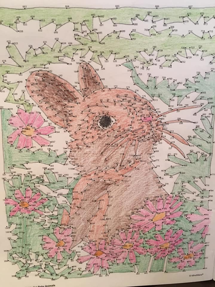 Homeschool Happenings: Extreme Dot to Dot ~ Baby Animals