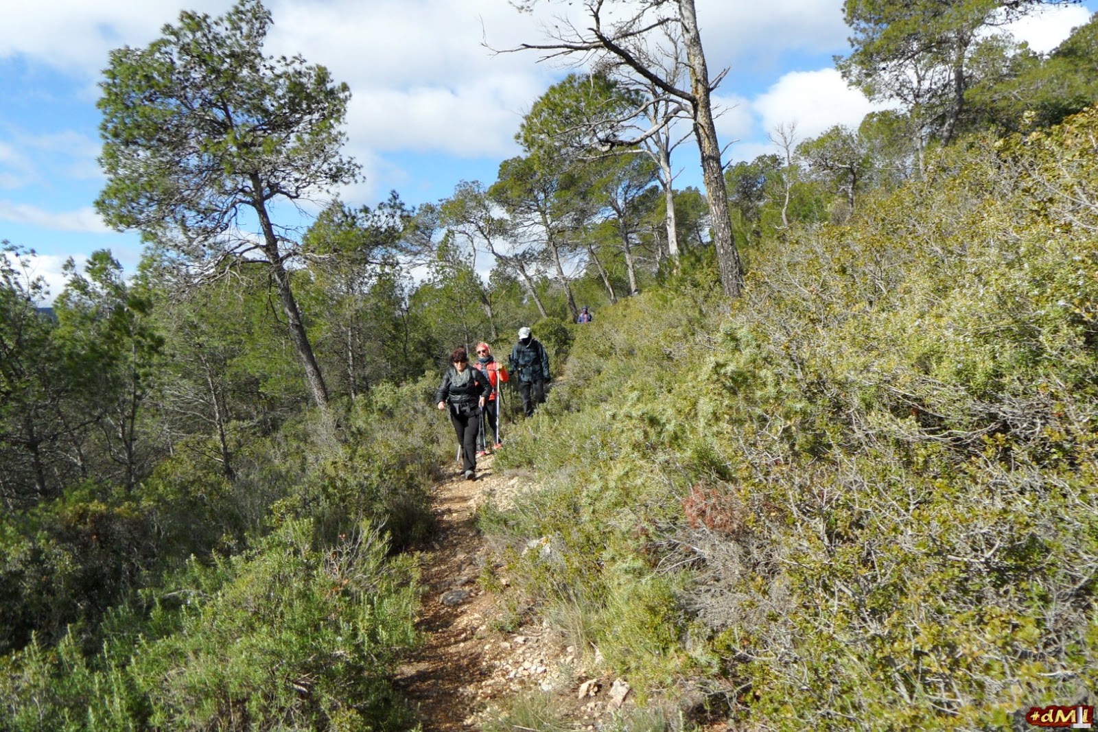 2018 - 03 Tabarla y río Magro A+ 383 m / 12,34 km | Pa_Blog Senderismo ...
