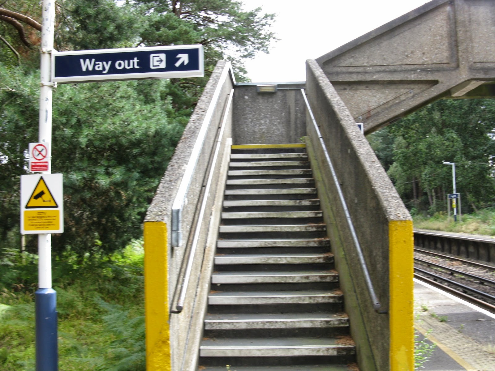 Place Memes: PARISH 12: Great Wood and MOD via Longcross and Chobham Common