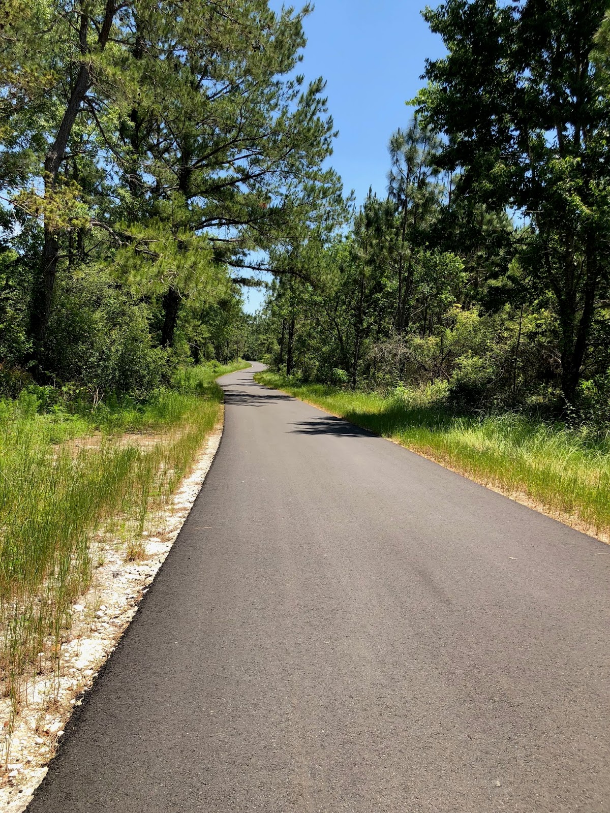 Chuck's Adventures: Santos and Land Bridge Paved Trail -- Cross Florida ...