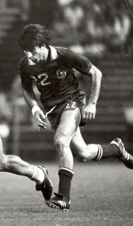 new york cosmos: 1981