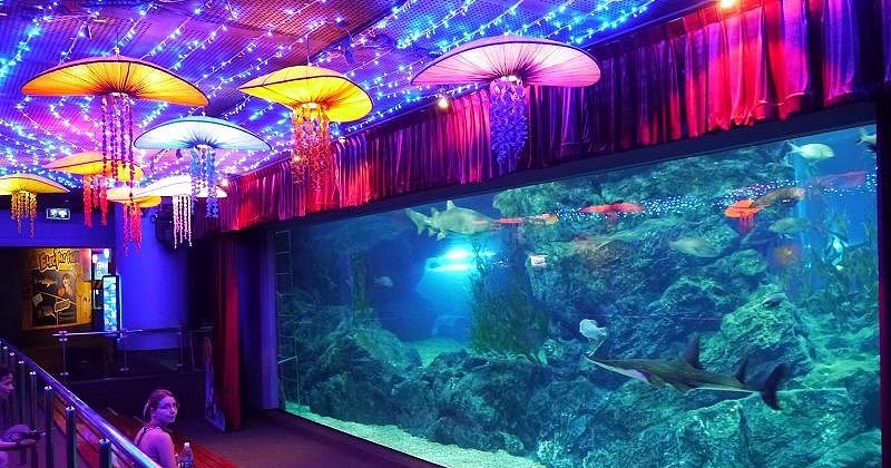 Siam Ocean World - Jelly and 5D Cinema | The Track of Time