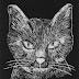 Scratch Art Cat Face - Art Projects for Kids