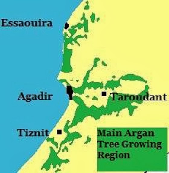 Eva Rodríguez Braña: El árbol del aceite de argán
