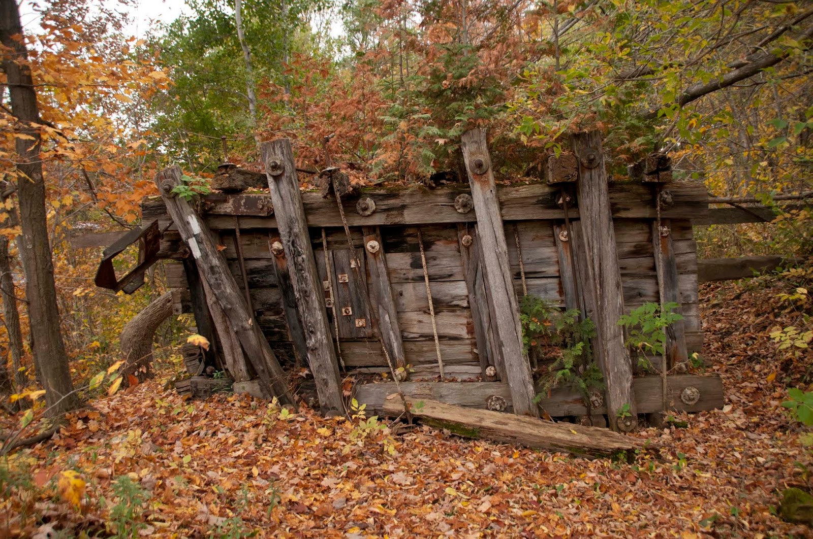 Trout Family History: Photo Identified, Trout mill site located