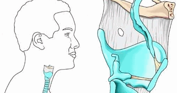 Larynx Cancer - Definition, Causes, Risk Factors, Symptoms and Treatment