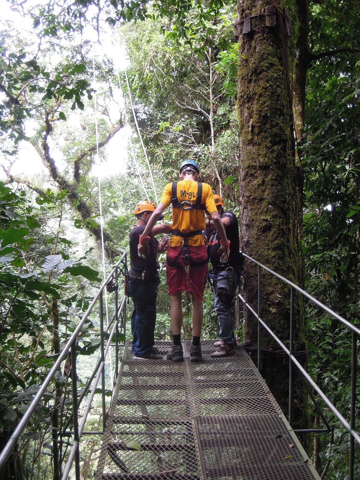 Will's and Gidders' Trip to South America: Monteverde Extremo Canopy ...