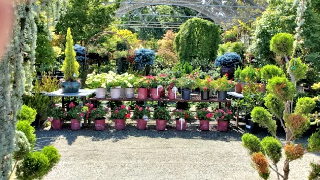 Nursery at High Hand | Life and Linda