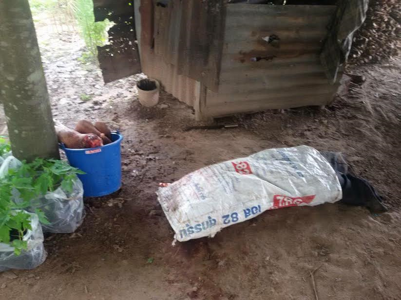 Graphic Photos: Man goes to visit a friend and meets the ghastliest of ...