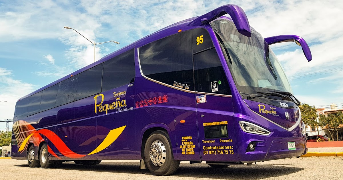 MAXIBUSES: AUTOBUSES TURÍSTICOS PEQUEÑA PLATINUM (TURISMO)