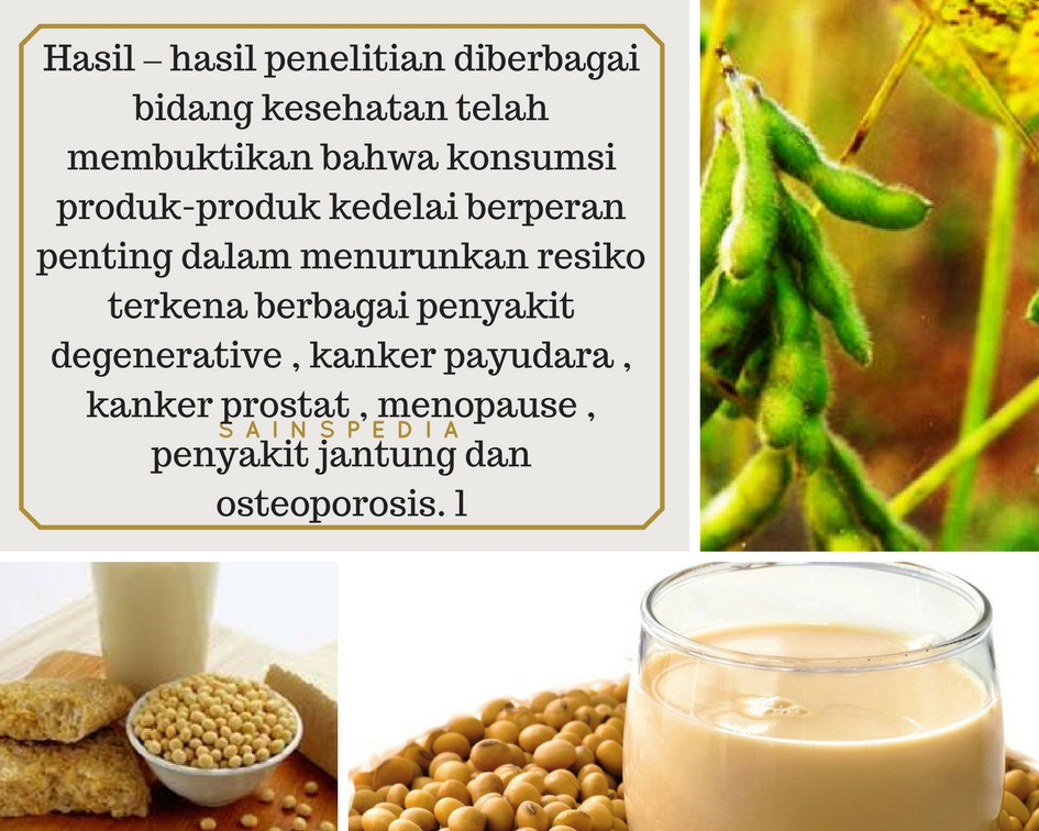 Senyawa Isoflavon Kedelai Sebagai zat Antikanker - Sains Pedia