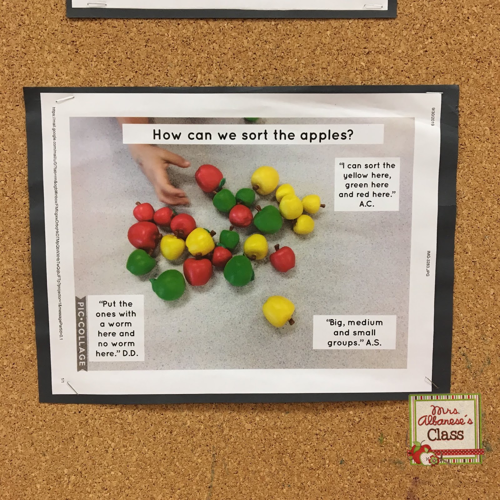 Sorting in Kindergarten | Mrs. Albanese's Kindergarten Class