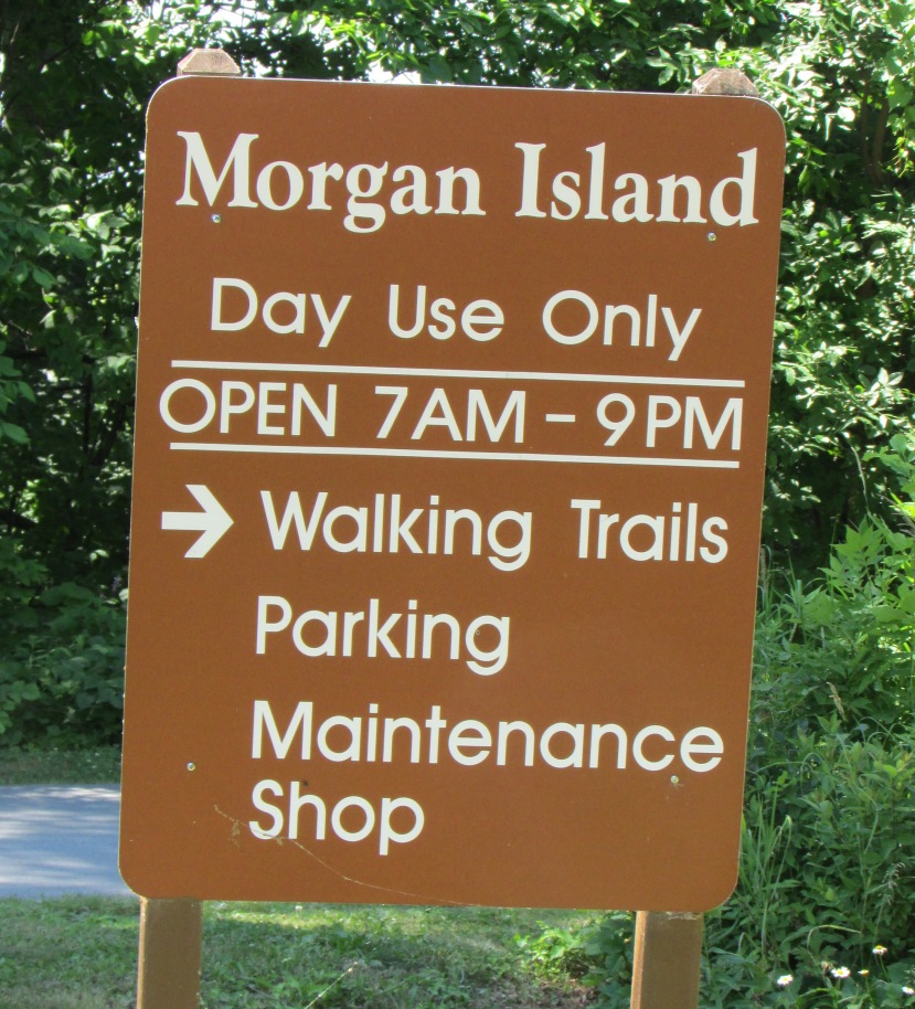 Singer Castle Blog & More: Hiking Morgan Island