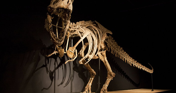 ARTICULO "Mansourasaurus shahinae: la nueva especie de dinosaurio ...