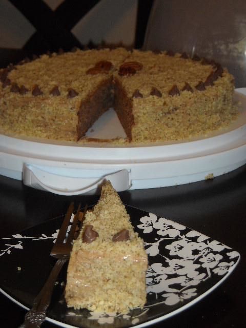 Enidina sofra: Panama torta