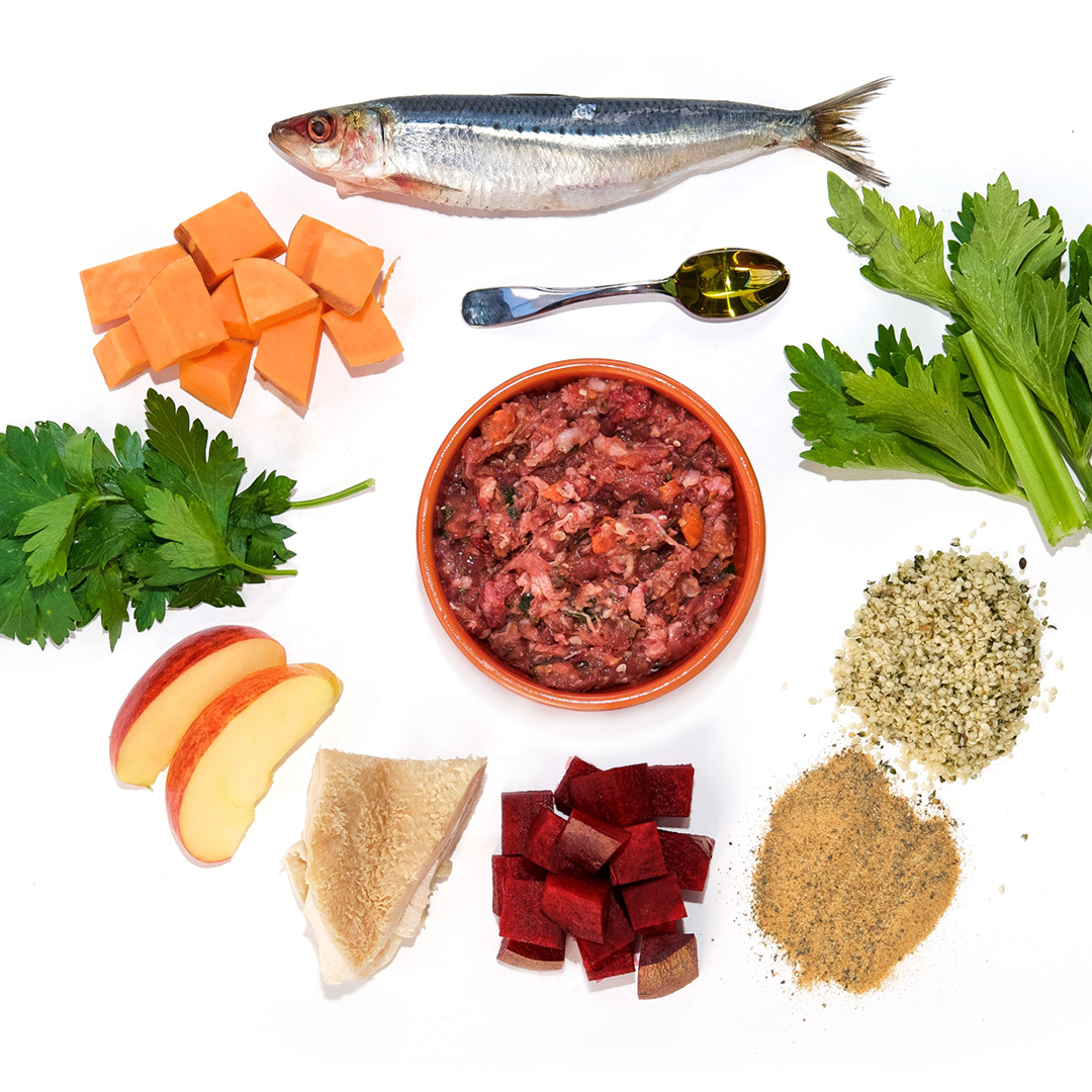 CDK9 Raw Complete Mixes for Dogs – Review | Australian Dog Lover