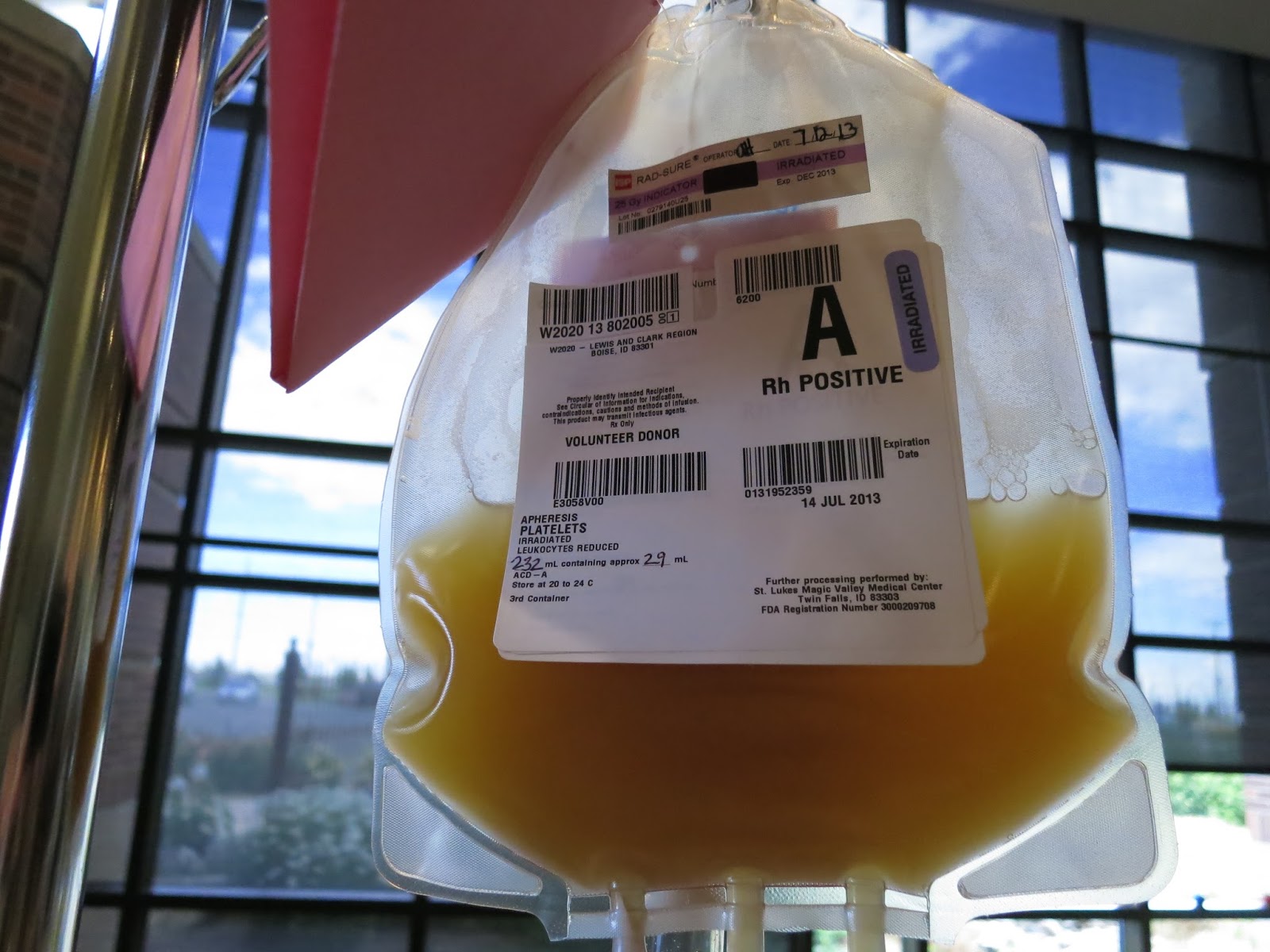 jm's Adventure with Multiple Myeloma: Relapsed High Risk Myeloma ...