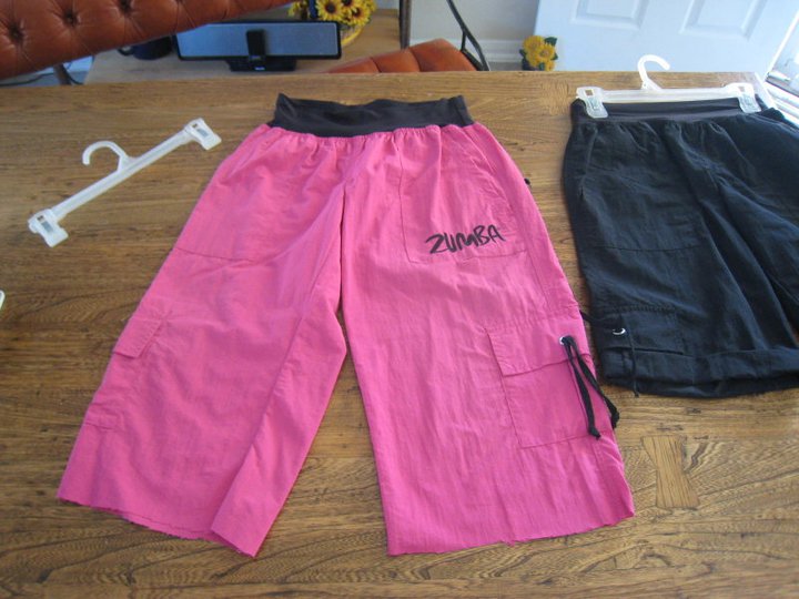 Love 2 Sew 4 Fun - Newbie at Sewing with My Singer Featherweight: Zumba ...