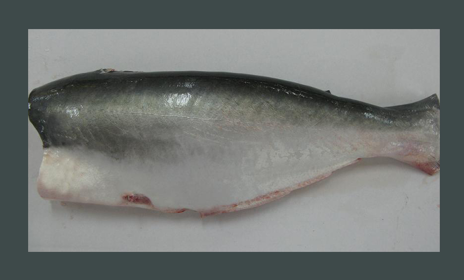 Basic Fish Cutting Methods