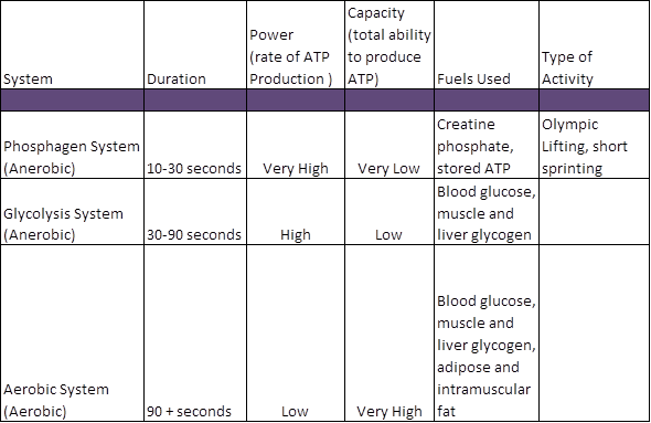 Fever For Fitness: Metabolic Workout