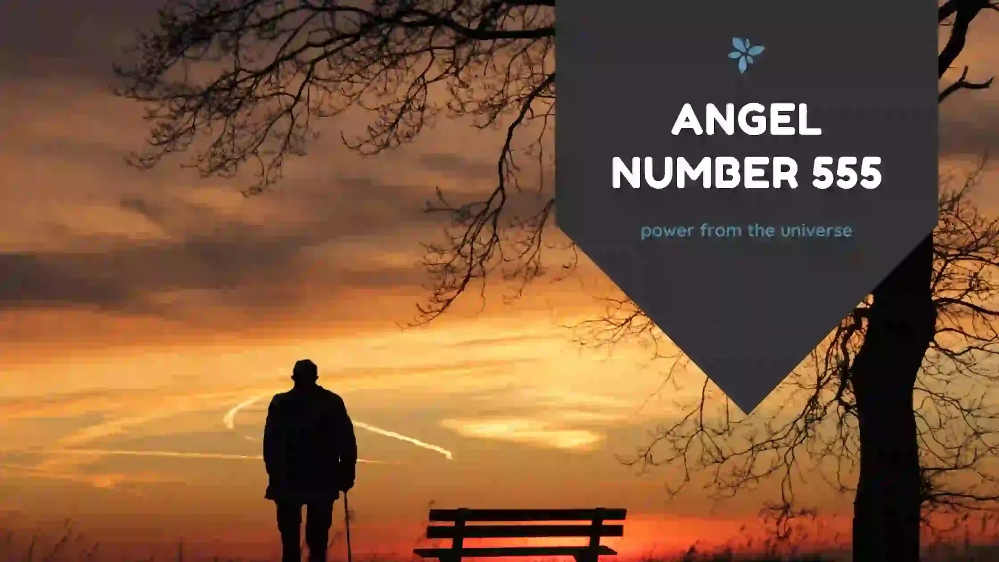 555 Angel Number Meaning And Ultimate Positive Changes 555-angel-number-meaning-and-ultimate-positive-changes