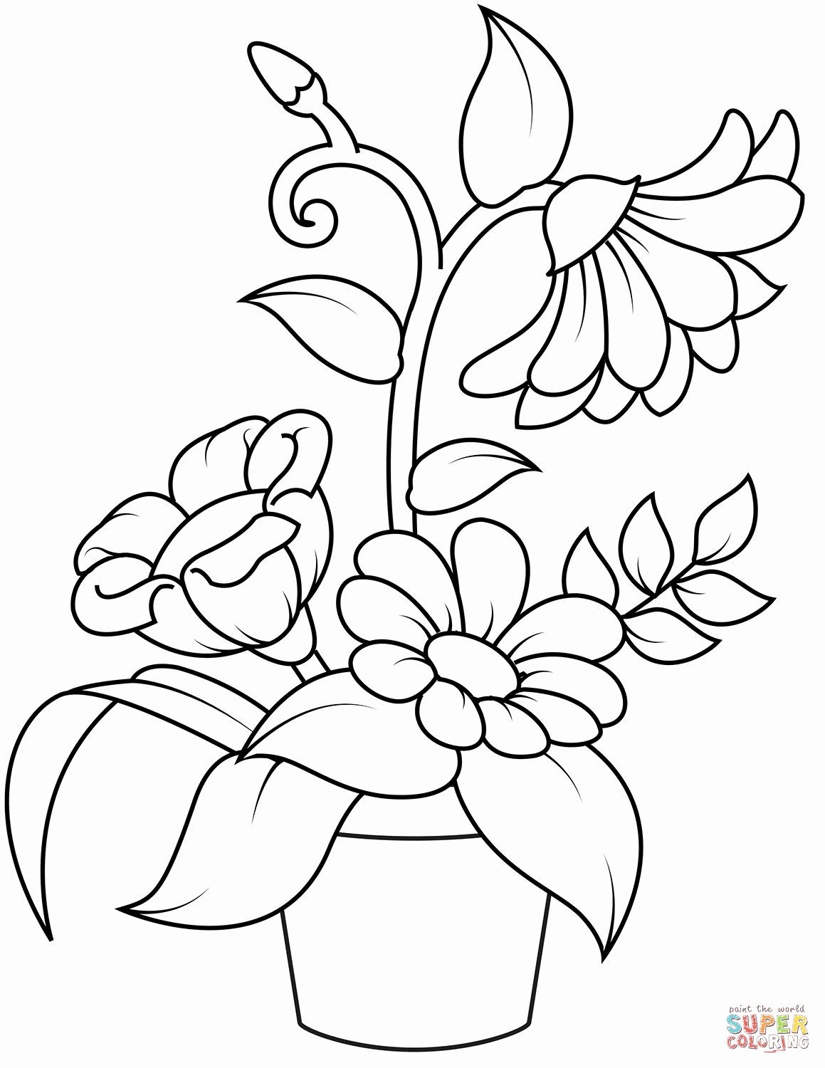 Printable Flower Coloring Pages ~ Coloring Print