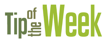 Birchwood Isle Family Discipline RPG