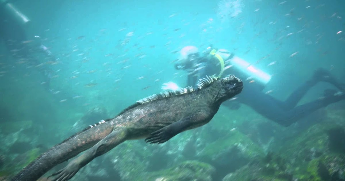 Alien Explorations: Alien Resurrection: Swimming aliens with the help ...