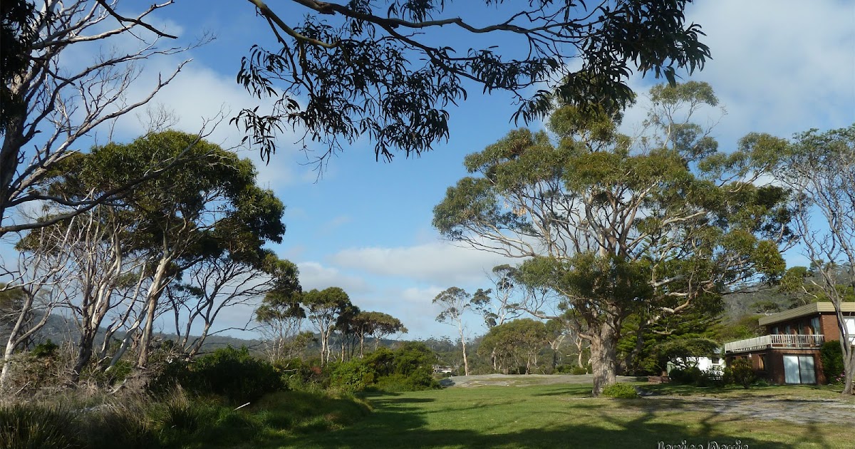 thoughts & happenings: The town of Bicheno, Tasmania