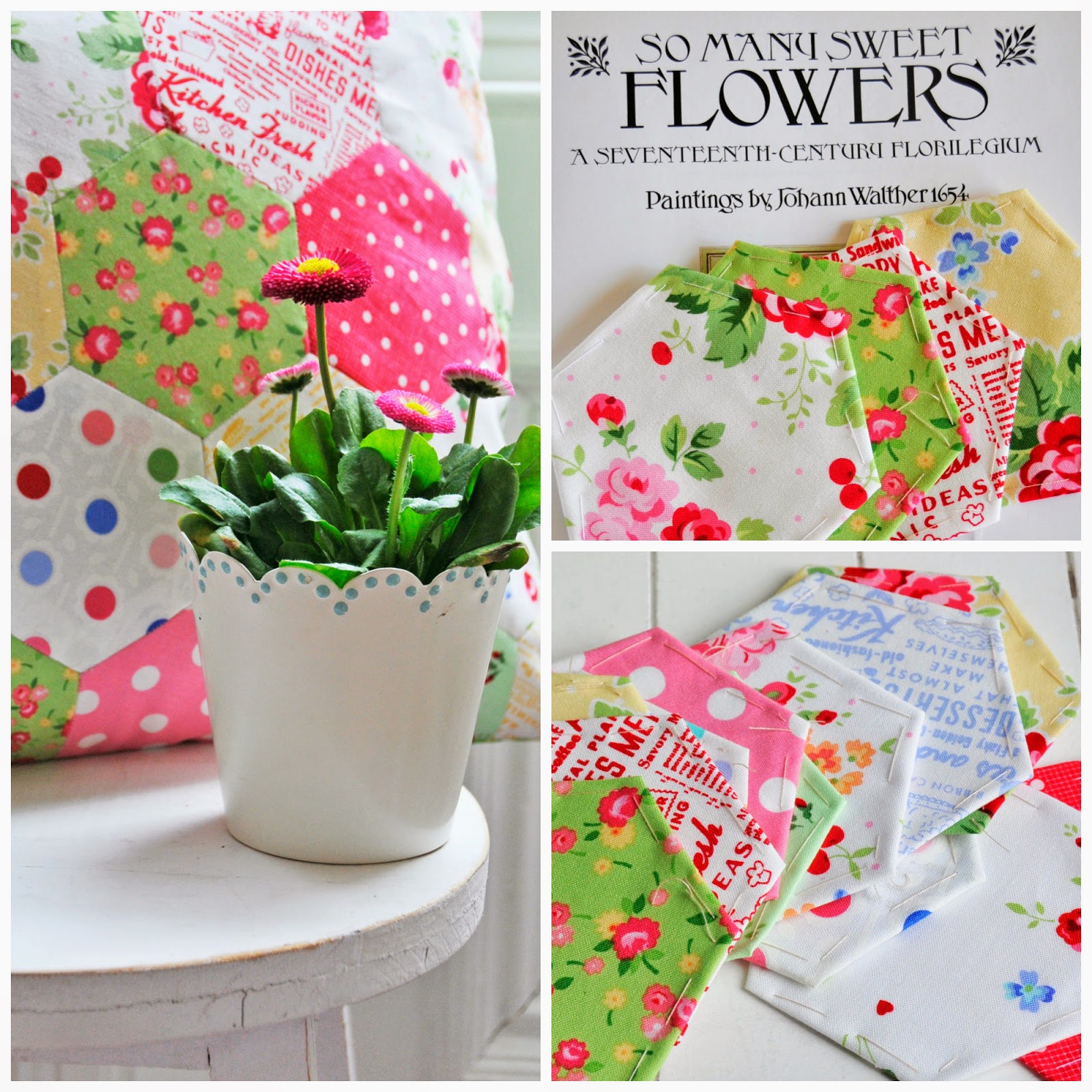 Helen Philipps: Sowing Season....... and a Winner!