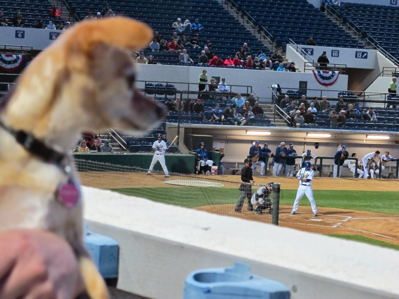Blog About a Dog: Rancho Cucamonga Quakes: Doyer Dog