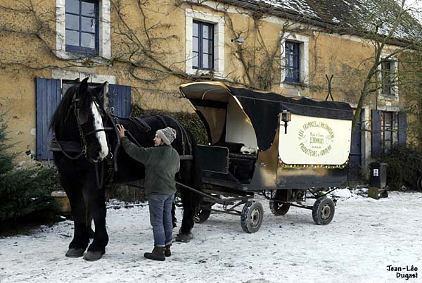 Percheron International: Visite Chez Nicole & Jean-Louis Lefrançois