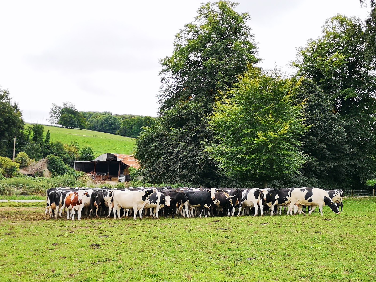 Agnes' Charity Bike Ride
